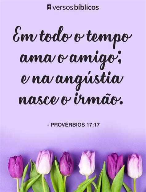 Versículos sobre Amizade e Bençãos para Amigos Versiculo sobre