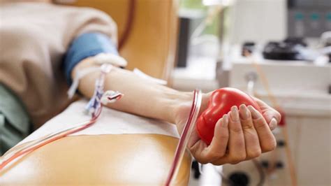 Dia Do Doador De Sangue Saiba Quais Os Requisitos Para Doar Sangue