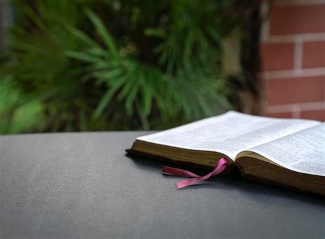 Biblia Abierta En La Mesa Negra Con Palmera Al Fondo Foto Premium
