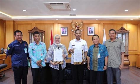 Pemprov Babel Terima Bantuan Sapi Kurban Seberat 1 Ton Dari Presiden