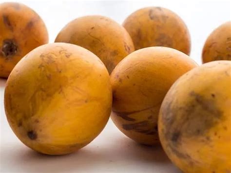 Agbalumo 5 Pcs SundryAgro