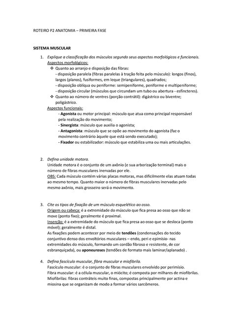 Roteiro De Anatomia Sistema Muscular Warning TT Undefined