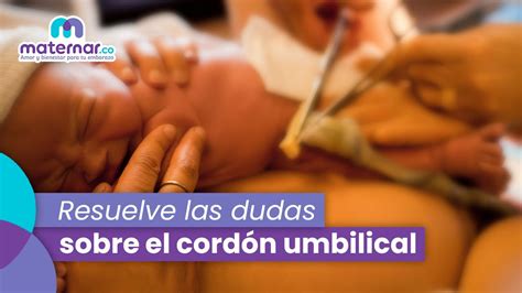 Cordón umbilical Por qué se enreda en el cuello del bebé Maternar