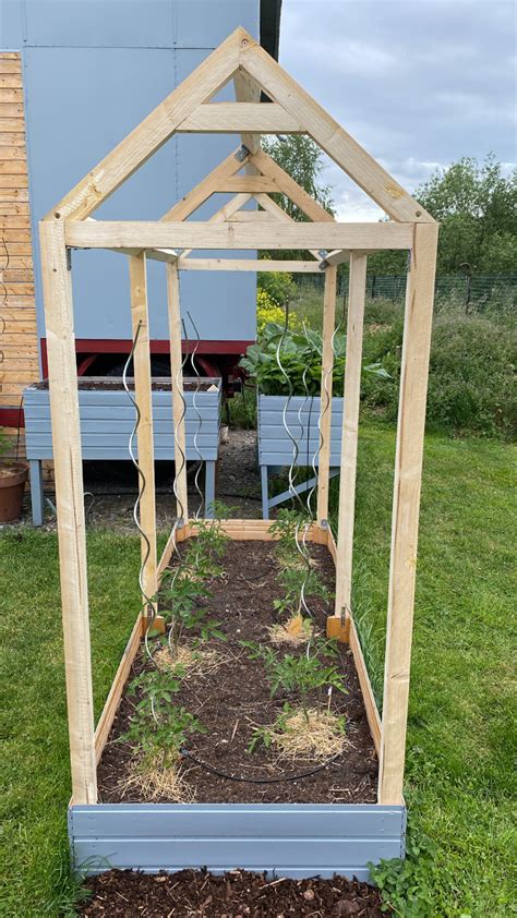 DIY Tomatendach Selber Bauen InCapitalLetters