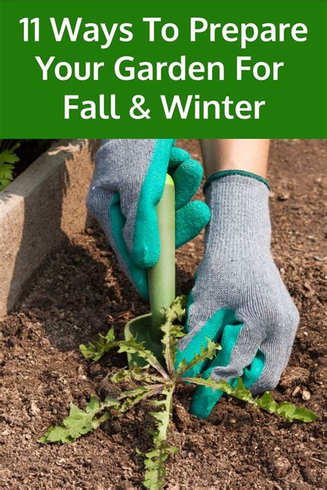 Ways To Prepare Your Garden For Fall Winter Garden Preparation
