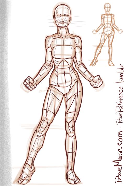 Human Body Female Body Poses Drawing Reference