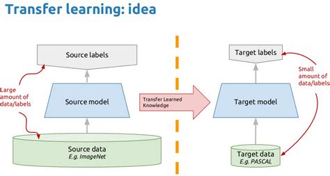 transfer learning explained the integrate ai blog medium