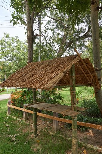Detail Contoh Pondok Kebun Koleksi Nomer 55