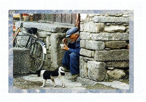 Poeme L Homme Et Le Chien Chien Nouvelles