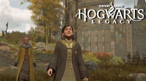 Qu Tes Poppy Hogwarts Legacy Vol D Oiseau Pierre De Lune Soluce