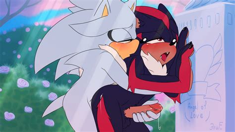 Shadow The Hedgehog And Silver The Hedgehog Sonic The Hedgehog Series