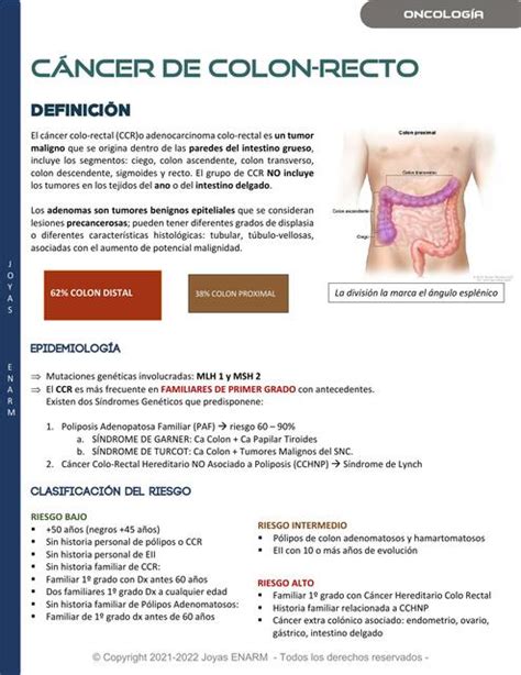 Resúmenes de Colon distal Descarga apuntes de Colon distal