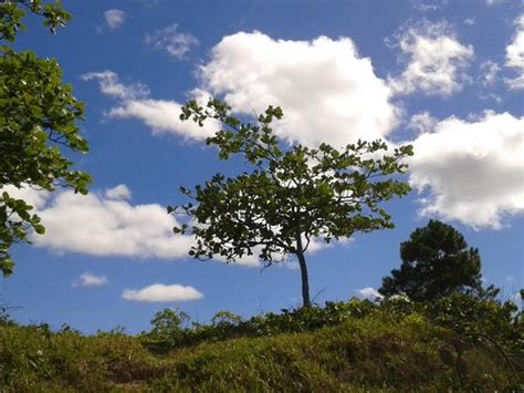 G1 Quarta Feira Deve Ter Sol Entre Nuvens E Temperaturas Altas Em SC