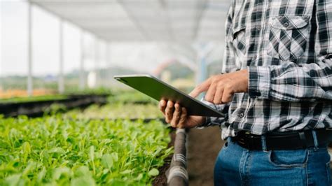 AgTechs conheça as empresas que estão revolucionando o agronegócio