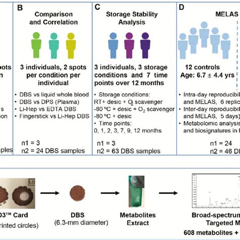 Dried Blood Spot DBS Workflow Optimization A The Effect Of Blood