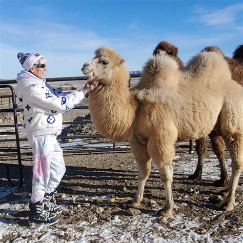 Jeffree Star S Tweet The Star Camels Say Gooood Morning Bitch