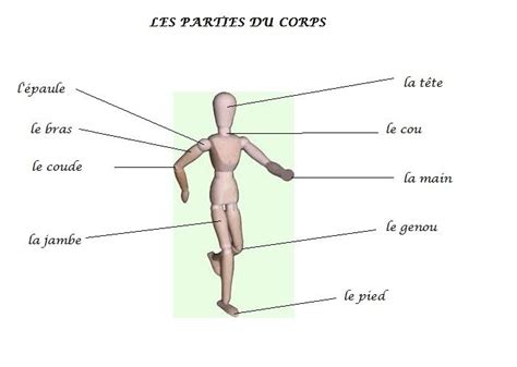 Partes del cuerpo en francés Aprendiendo con Julia