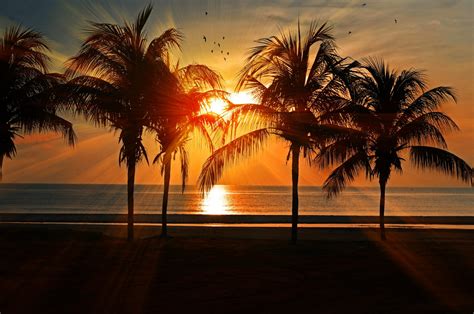 Cuándo empieza y termina el verano este 2022 Once Noticias