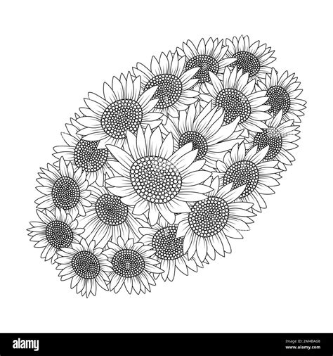 girasol vector contorno página para colorear de pétalo floreciente y