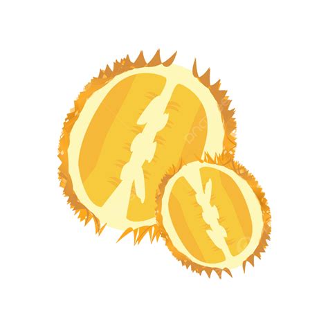 Cartoon Hand Drawn Durian Vector Element Cartoon Hand Draw Durian