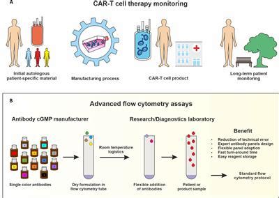 Frontiers Advanced Flow Cytometry Assays For Immune Monitoring Of CAR