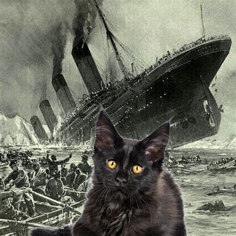 Cat Chit Chat Legend Of Jenny The Titanic Cat