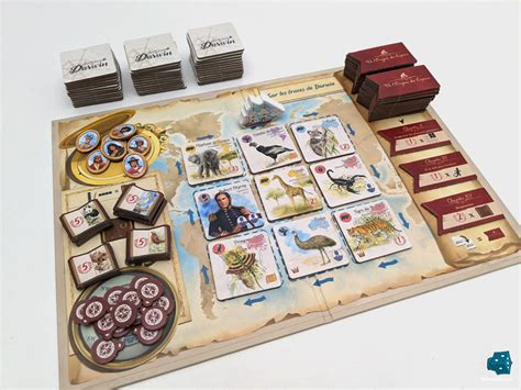 Test critique du jeu Sur les Traces de Darwin Le dépuncheur