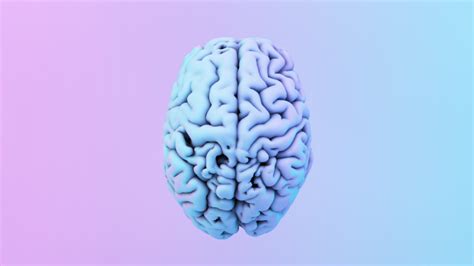 Neurorachel Neuromarketing 5 Claves Sobre El Comportamiento Del