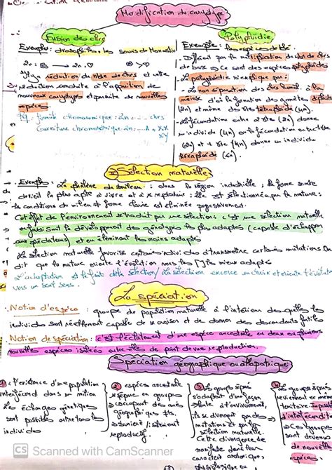 Bac Sc expérimentales Sciences SVT resume science toute l annee