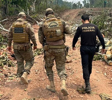 PF E PRF Prendem Em Flagrante Homem Por Transporte De Madeira Ilegal No