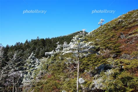 Photolibrary
