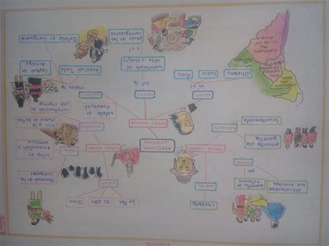 Mapa Conceptual Sobre La Resistencia Indigena Brainlylat Images And