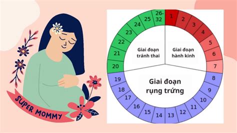 Cách tính ngày rụng trứng cho người kinh không đều Hoàn Mỹ