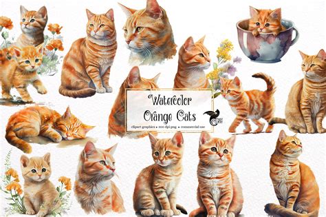 Watercolor Orange Cats Clipart Cute Floral Tabby Cats And Etsy Singapore