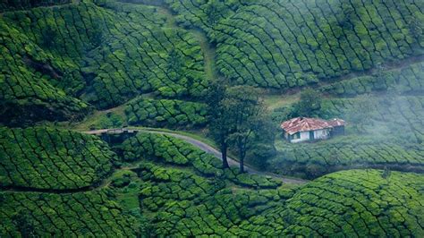 Best Places To Visit In Munnar Kerala Tourism 2022