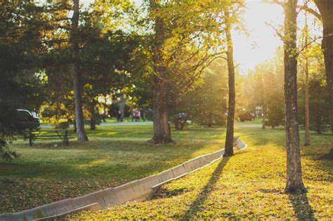 Qué Tan Seguro es Viajar a Overland Park 2024 Actualizado