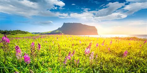 BÄSTA Jeju Sightseeing på hjul 2023 GRATIS avbokning GetYourGuide