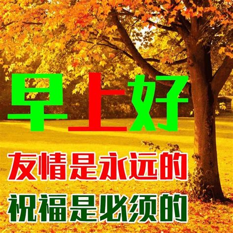 8月29日最新早上好祝福动态表情图片大全秋天早安问候语句子 亲爱的朋友 生活 好运