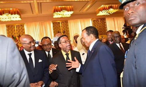 Cameroun Alternance Au Sommet De L Etat Les Institutions De La