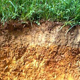 Relación agua suelo EcuRed