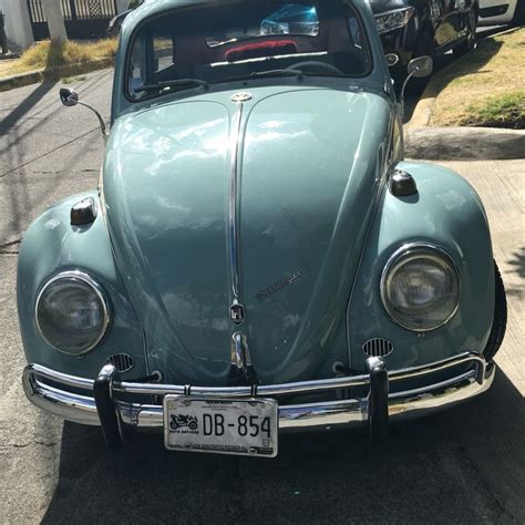 VW Bug 1967 Vw Bug Antique Cars Bugs