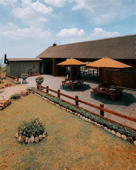 The Olive Branch Taman Dayu Foto Dan Harga Menu Terbaru Wisata Milenial