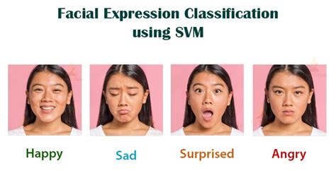 svm applications top 10 astonishing real life applications of svm techvidvan
