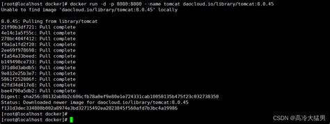docker 简介 dockers 根据docker id tag csdn博客