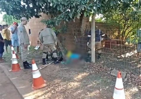 Homem morre eletrocutado após subir em árvore para colher abacates em