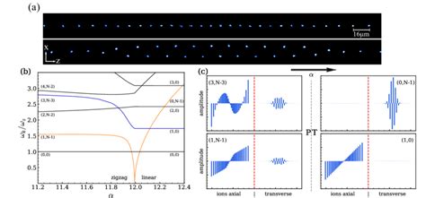 a experimental pictures of the linear chain top and of the zigzag download scientific