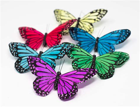 Clip On Butterflies Clip Art Library
