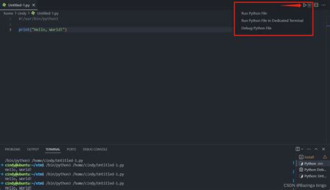 Python3 修行之基础篇（二）python Vscode 配置vscode配置python开发环境 Csdn博客