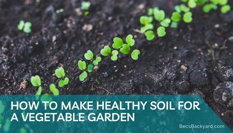 How To Make Healthy Soil For A Vegetable Garden A Beginner S Guide