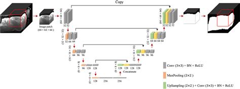 frontiers 3d u net improves automatic brain extraction for isotropic rat brain magnetic
